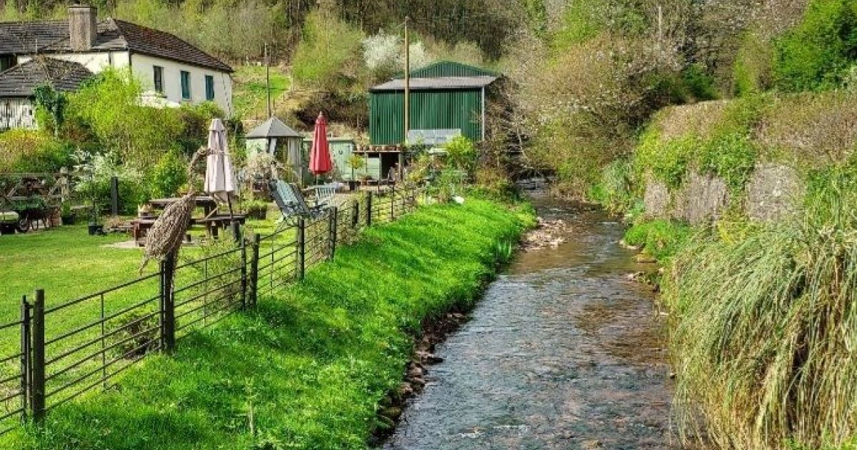 Fedw Woods and Wye Valley Walk - Ramblers